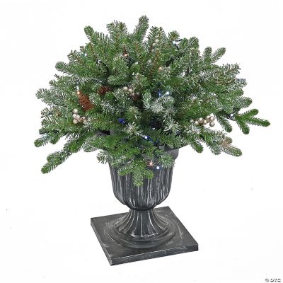 National Tree Company 24" Snowy Morgan Spruce Porch Bush with Twinkly ...