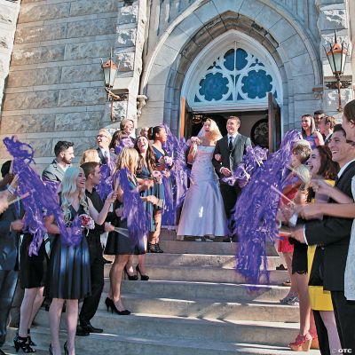 Bulk 48 Pc. Purple Ribbon Wands | Oriental Trading