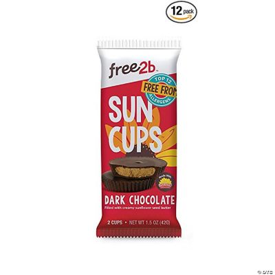 Free 2 B 2154771 4.2 oz Mini Ice Chocolate Sun Cups | Oriental Trading