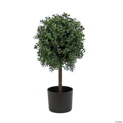National Tree Company 24"Boxwood Single Ball Topiary in Black Plastic ...