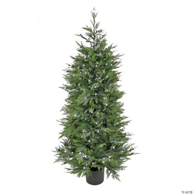 National Tree Company 5 ft. Cypress Topiary in Black Plastic Nursery ...