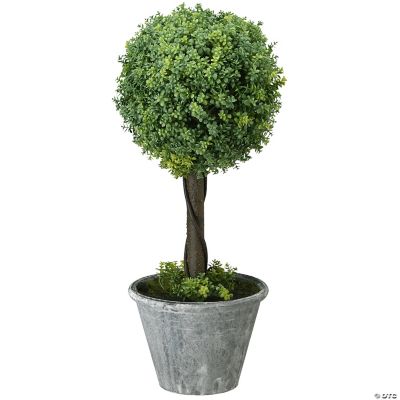 National Tree Company 18" Potted Single Ball Topiary