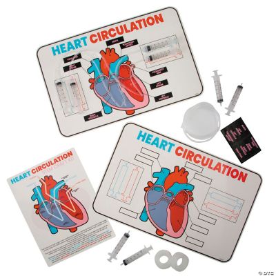17" x 11" STEM Heart Circulation Activity Learning Challenge Craft Kit ...