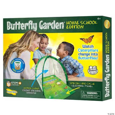 Insect Lore Butterfly Garden Homeschool Edition | Oriental Trading