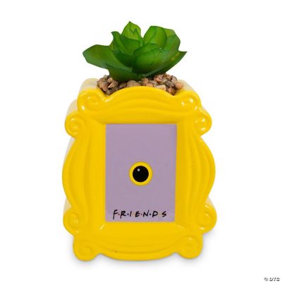 Friends Peephole Frame 3-Inch Ceramic Mini Planter with Artificial ...