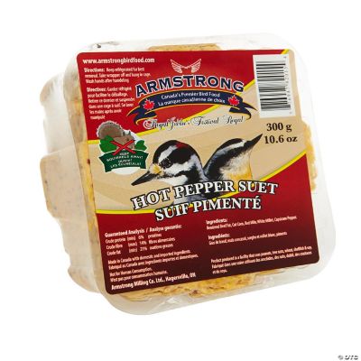 Armstrong Wild Bird Food Hot Pepper Suet Blend, 10.6oz | Oriental Trading