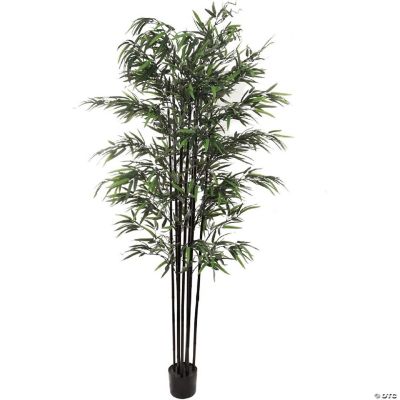 6ft Bamboo Tree in Black Pot | Oriental Trading