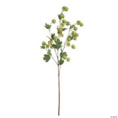 Set of 3: Green Silk Baby Hop Spray | Oriental Trading