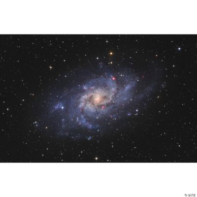 Messier 33 the Triangulum Galaxy Poster Print 17 x 11