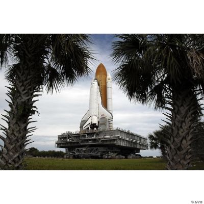 Palmetto trees frame space shuttle Endeavour as it rolls toward the ...