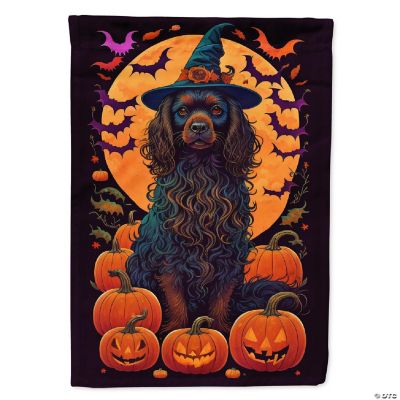 Boykin Spaniel Witchy Halloween House Flag