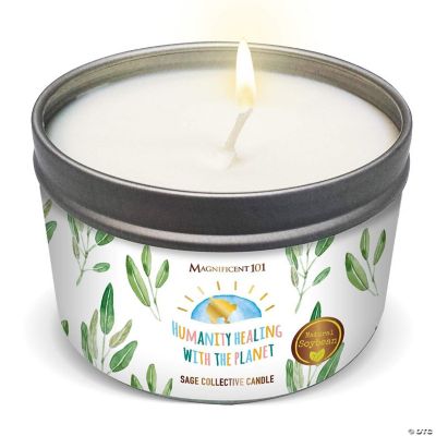 Magnificent 101 Pure White Sage Collective Candle Smudge Candle ...