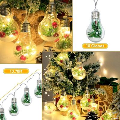 13.78FT Christmas Snow Globe String Light Battery Powered 10 LED Bulbs ...
