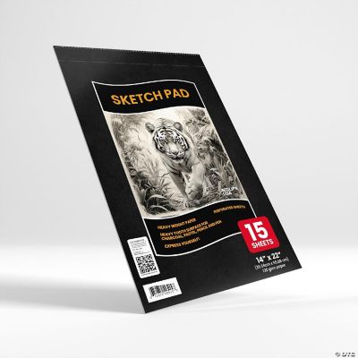 E-Clips USA Top-Spiral Sketch Pad - 14 X 22 Inches, 160 Gsm Heavy-tooth ...