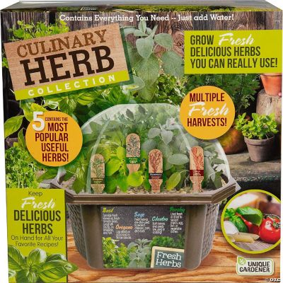 Unique Gardener: Culinary Herb Kit - Grow 5 Herbs in a DIY Biosphere ...