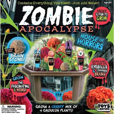 Toys By Nature: Zombie Apocalypse - DIY Terrarium Kit, Creepy Brain ...