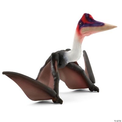 11" Quetzalcoatlus Dinosaur Action Figure Toy W/ Movable Jaw | Oriental ...