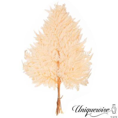 Uniquewise 17'' Preserved Real Alpine Fern Leaves with Stems for Dried ...