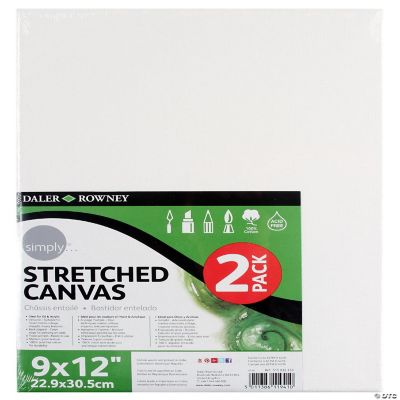 Daler-Rowney Simply Stretched Canvas 2/Pkg-9"X12" | Oriental Trading