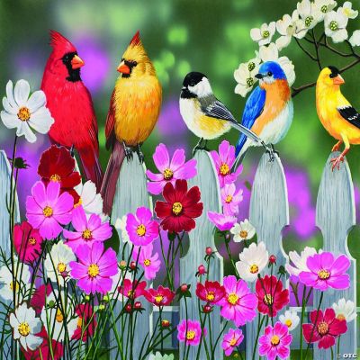 Sunsout Songbirds and Cosmos 500 pc Jigsaw Puzzle | Oriental Trading