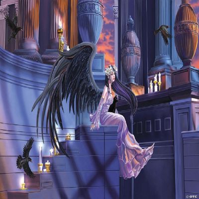 Sunsout Onyx Angel 550 pc Jigsaw Puzzle | Oriental Trading
