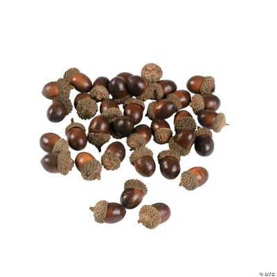 Loose Bag of Acorns - Discontinued