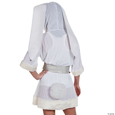 Sassy Snow Bunny Costume - Oriental Trading - Discontinued