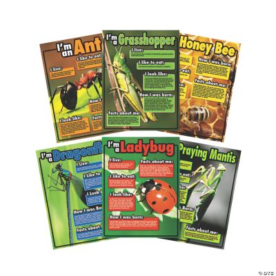 Bugs Learning Charts - Discontinued