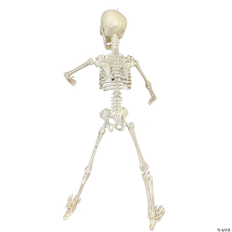 19" Poseable Skeleton Decoration