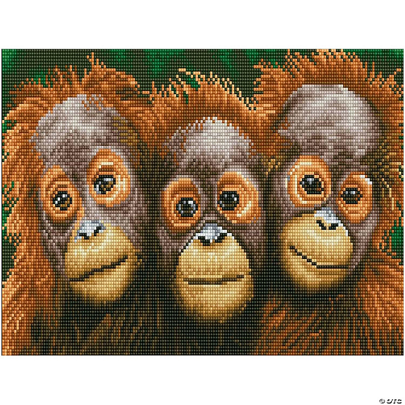 Diamond Dotz Intermediate Kit - Oranging Around