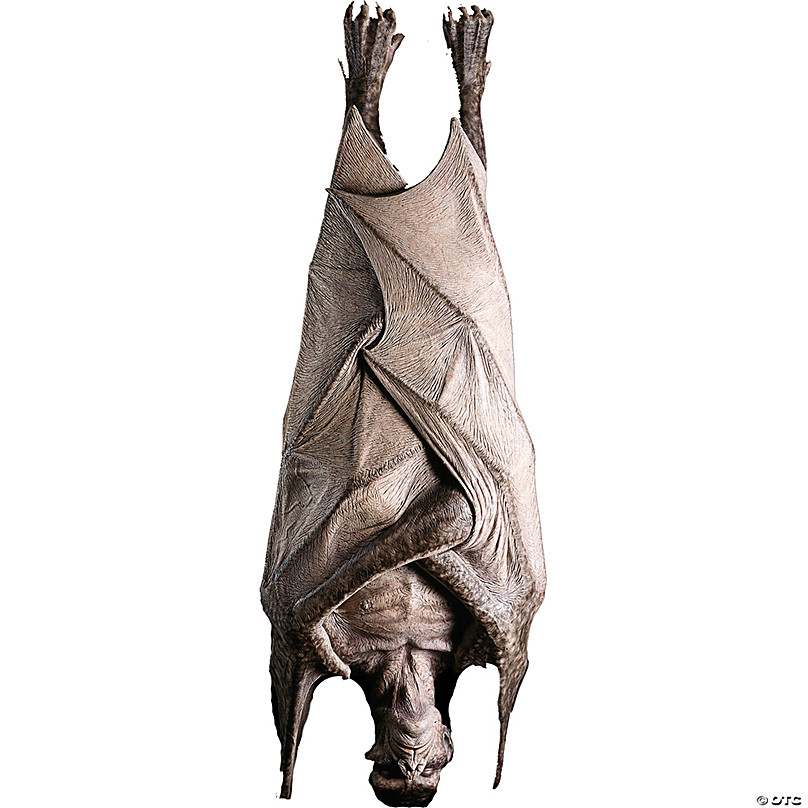 Vampire Bat Hanging