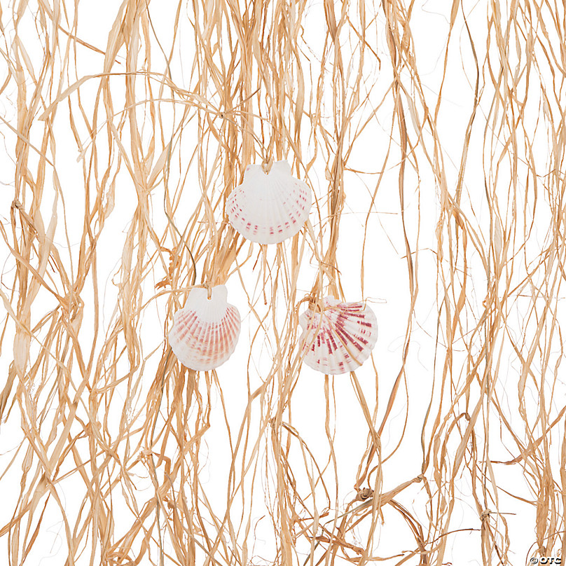Raffia with Shells Curtain Backdrop | Oriental Trading