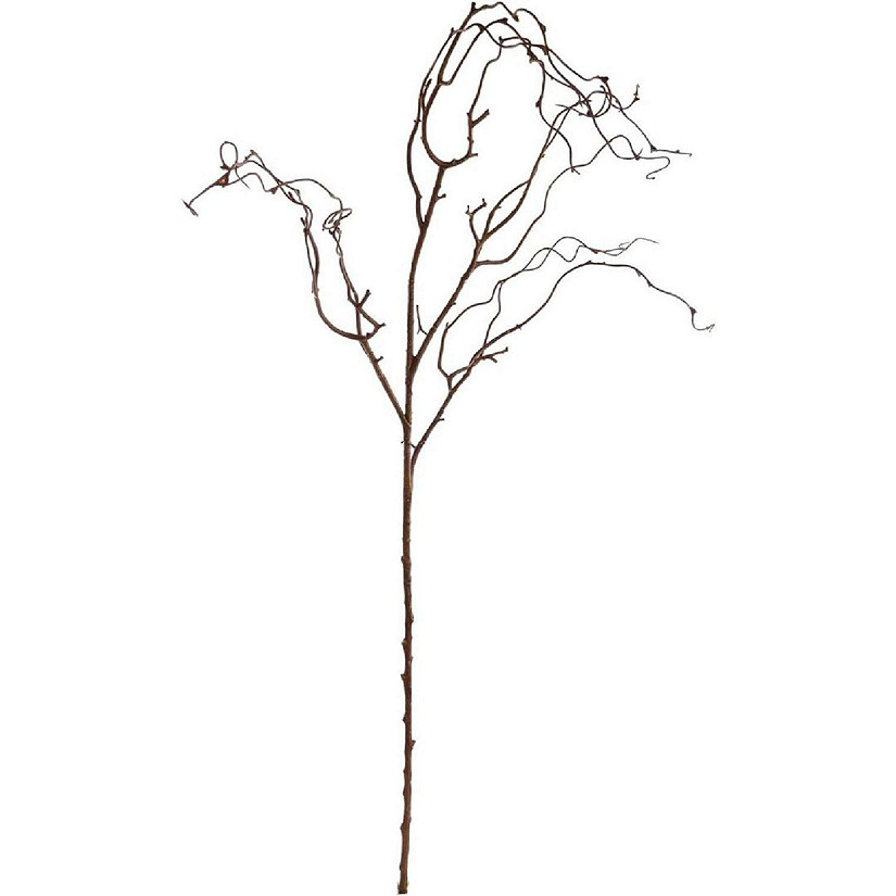 24-Pack: Natural Brown Twig Branch | Oriental Trading