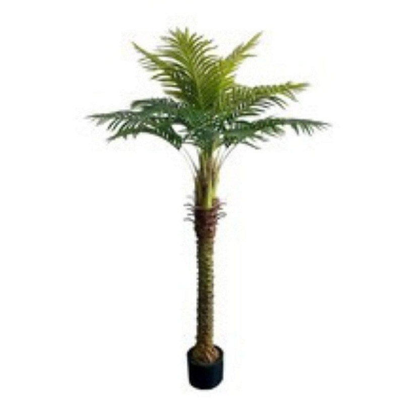 6ft Royal Palm Tree in Black Pot | Oriental Trading