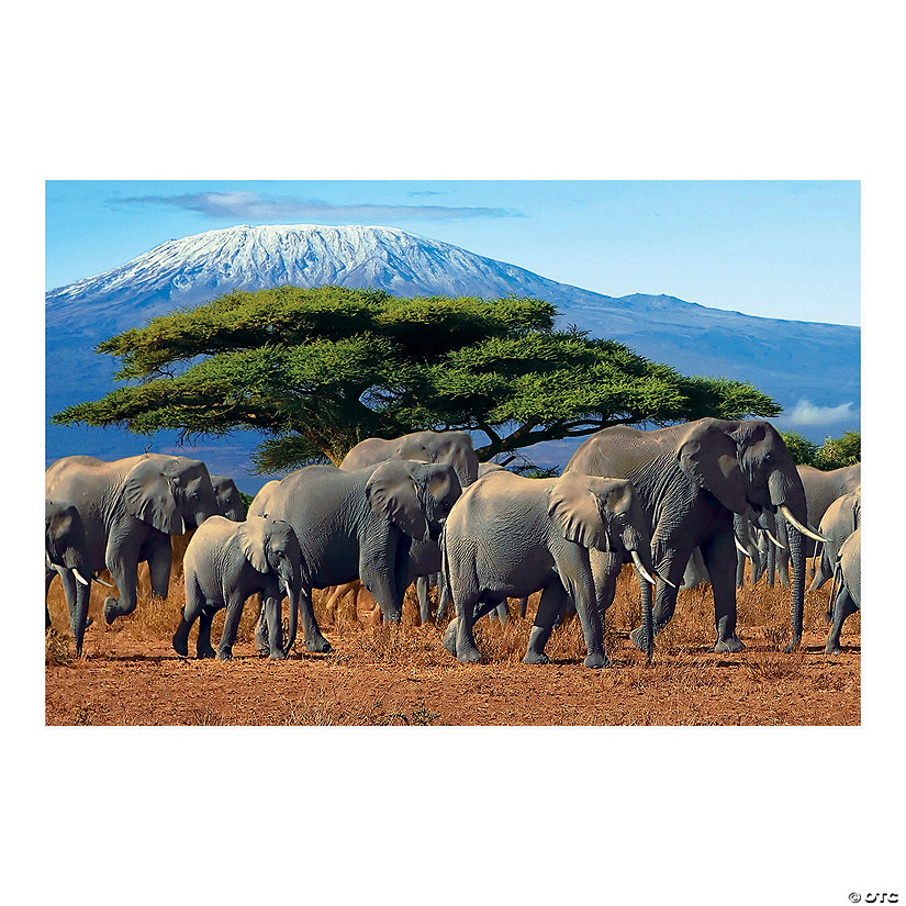 African Safari VBS Elephant Backdrop