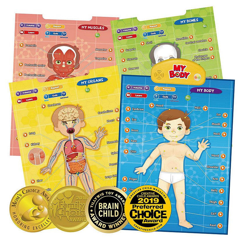 BEST LEARNING i-Poster My Body - Interactive Educational Human Anatomy ...