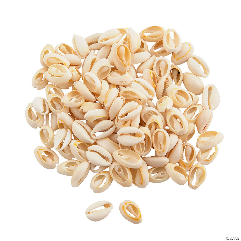 Bulk 120 Pc. Cowrie Shells | Oriental Trading