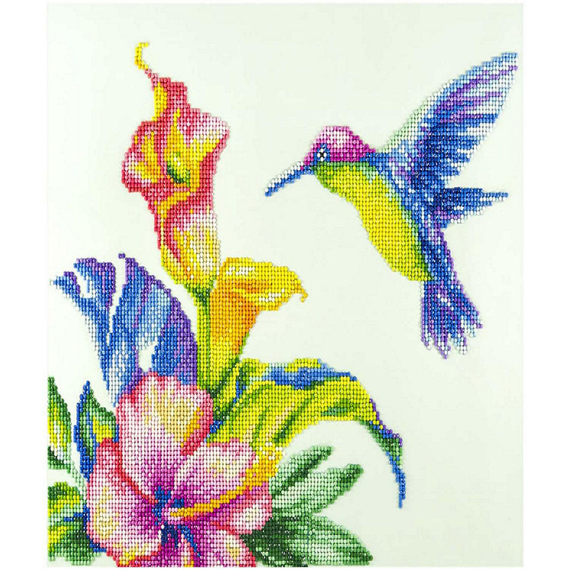 Diamond Art Advanced Kit - Hummingbird