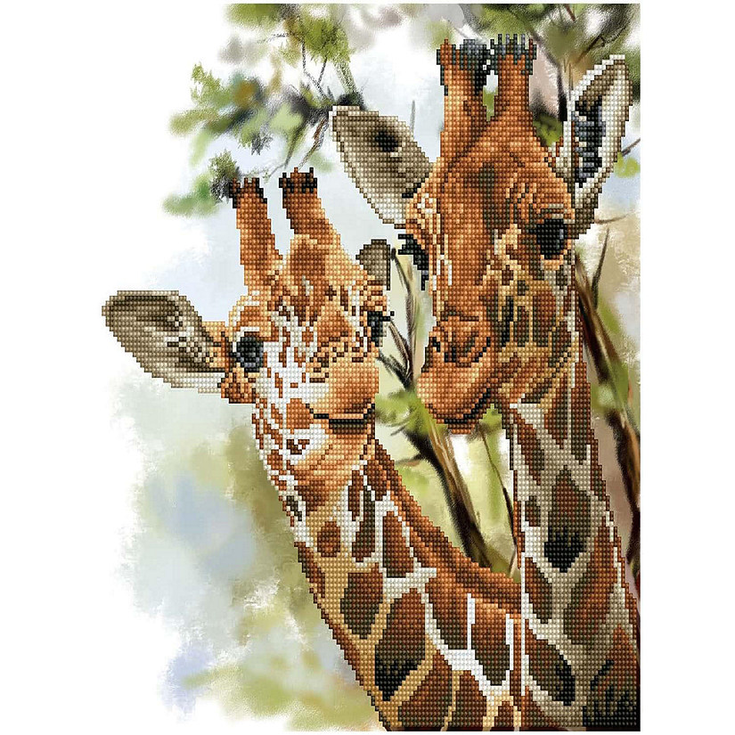 Diamond Dotz Intermediate Kit - Tall & Tender