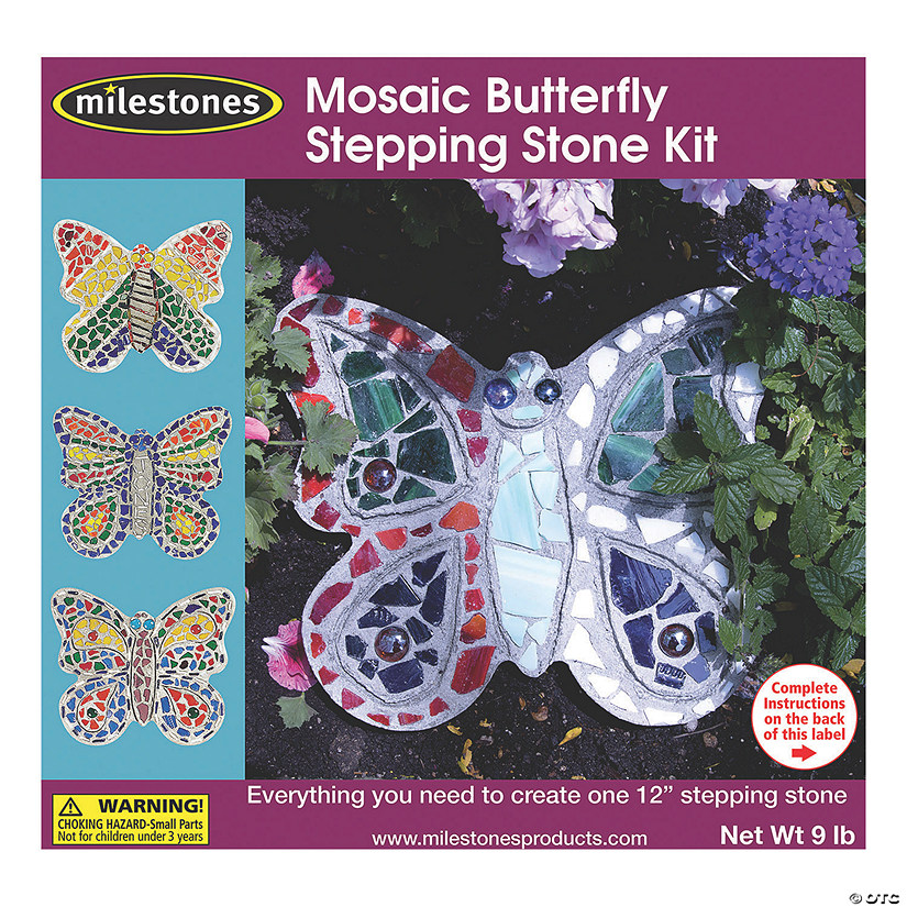 Mosaic Stepping Stone Kit-Butterfly | Oriental Trading