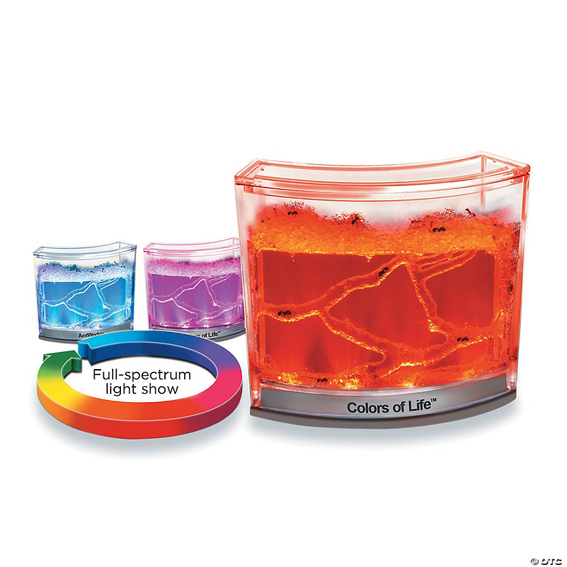 Rainbow LED Ant Habitat - Discontinued