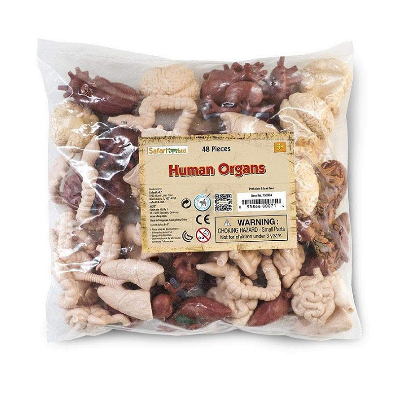 Safari Human Organs Bulk Bag | Oriental Trading