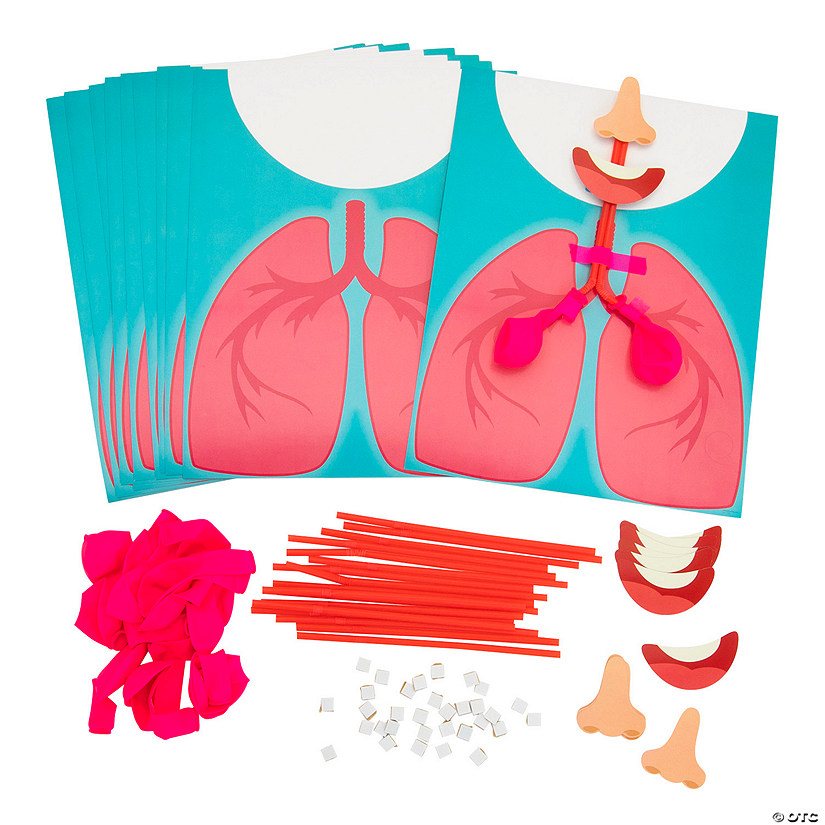 STEM Lung Model Biology Activity Learning Challenge Craft Kit - Makes 10