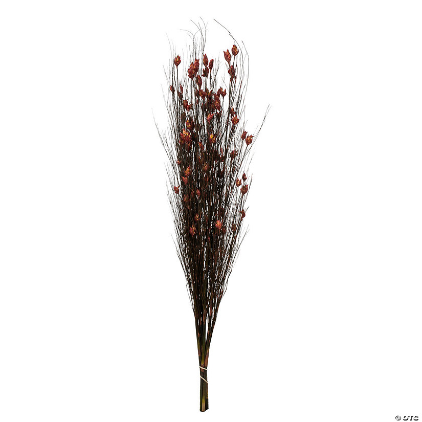 Vickerman 36-40" Long Stem Bell Grass with Red Colored Seed Pods, 2 per ...