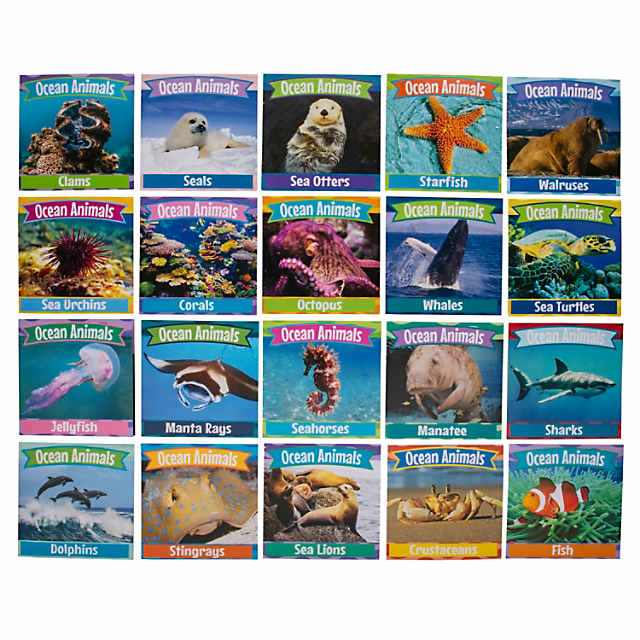 Sea Animals List Of 20 Interesting Sea Ocean Animals With The Deep Sea