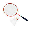 Giant Badminton Set - Discontinued