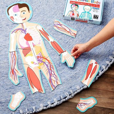 17-Pcs Large Magnetic Human Body Puzzle for Kids, Double-Sided Anatomy ...