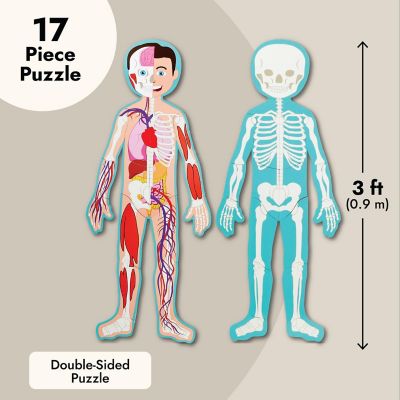 17-Pcs Large Magnetic Human Body Puzzle for Kids, Double-Sided Anatomy ...