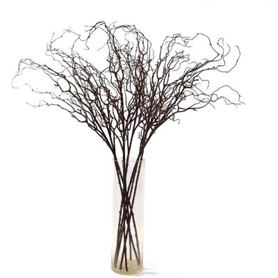 24-Pack: Natural Brown Twig Branch | Oriental Trading