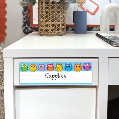 Colorful Owls Name Plates | Oriental Trading